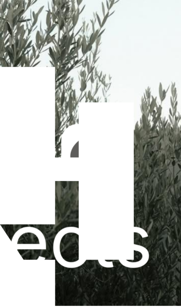 Olive Project: Open Innovation Lab - DIGITAL HUB INDUSTRY